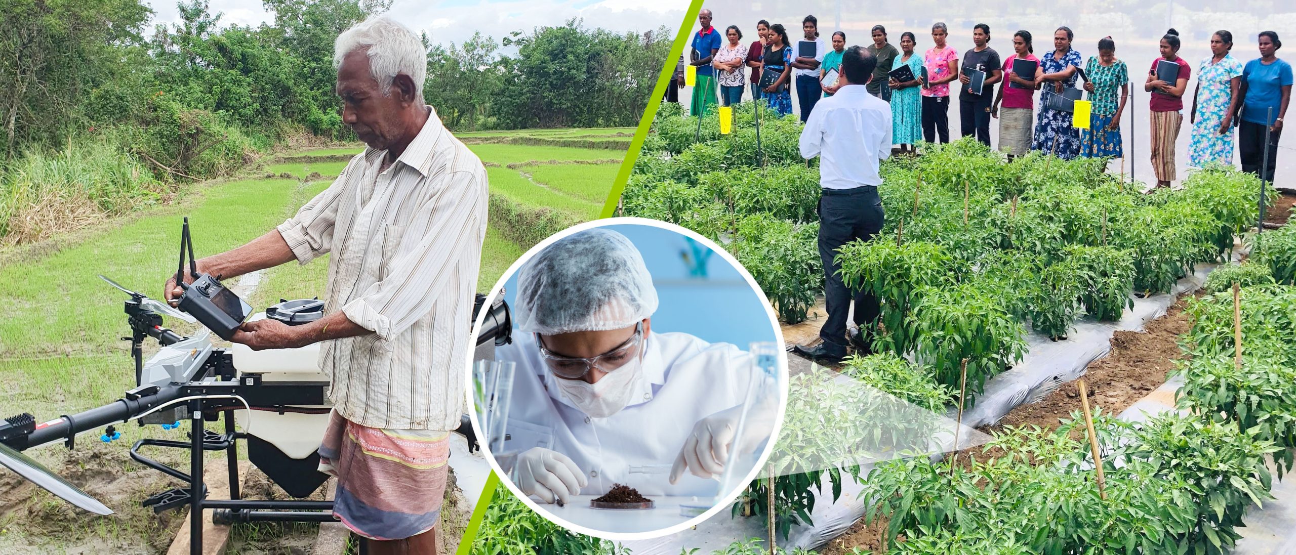 DIMO Agribusinesses, ගොවි ජනතාව කෘෂි ව්‍යවසායකයින් ලෙස සවිබල ගන්වයි ...